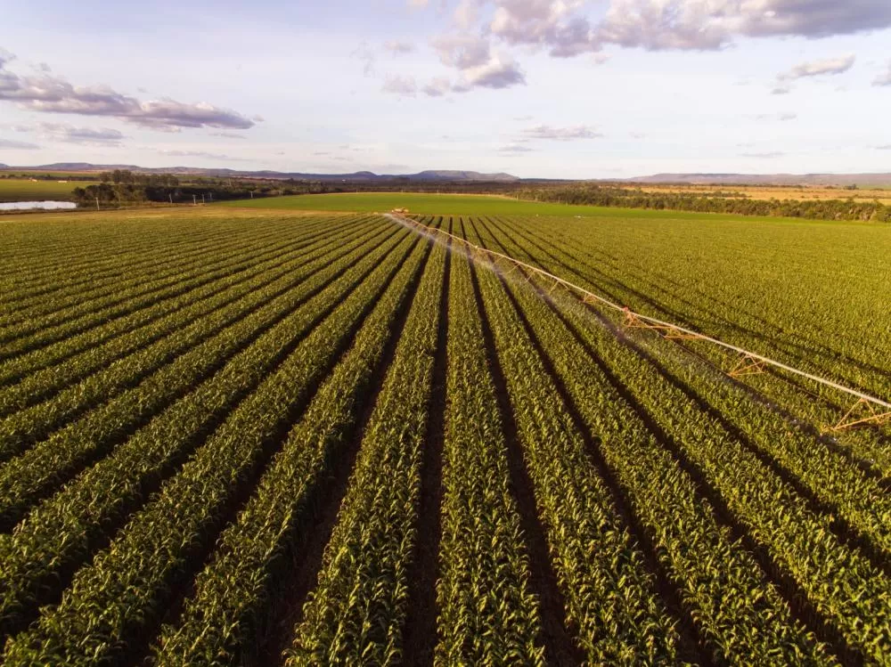 Bayer celebra 25 anos em Paracatu